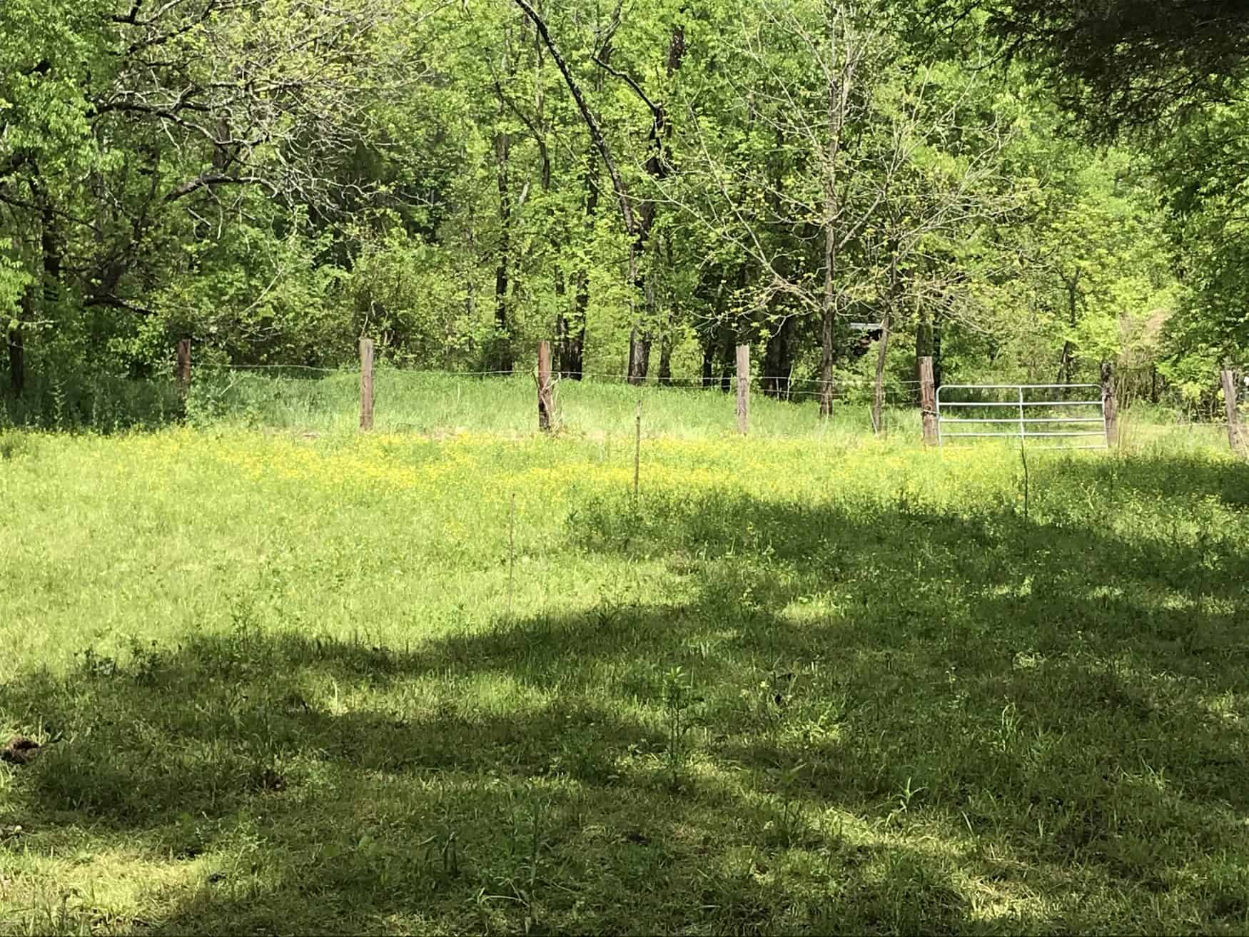 A Soft Nudge - Rebecca Parkinson